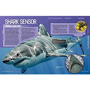 Ultimate Book of the Future: Incredible, Ingenious, and Totally Real Tech that will Change Life as You Know It (National Geographic Kids)