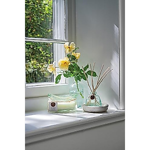 Northern Lights Candles - Windward 2 Wick Candle - Sea Rose & Cotton - 52668