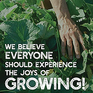 Package of 80,000 Wildflower Seeds - Hummingbird and Butterfly Wild Flower Seeds Collection - 23 Varieties of Pure Non-GMO Flower Seeds for Planting Including Milkweed, Nasturtium, and Forget Me Not…