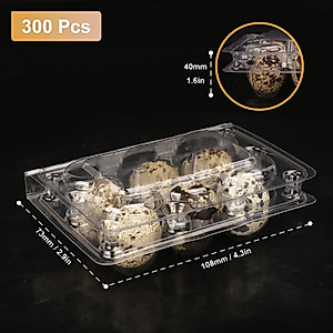 KUKLIPJIM 300 Pack Quail Egg Cartons, Clear Plastic Quail Egg Trays, Holds up to 6 Quail Eggs Securely - Your Ultimate Small Eggs Carton Holders for Bulk Storage and Display