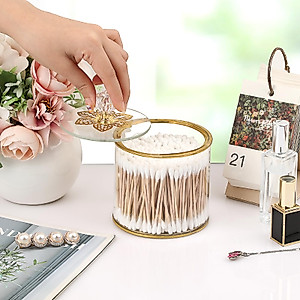 Hipiwe Glass Qtip Holder with Lid Gold Bathroom Canister Clear Qtip Holder Dispenser Jar for Cotton Swabs Jewelry Hair Band Cotton Ball Organizer Box for Vanity Countertop
