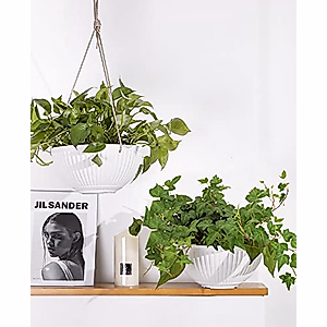 LaDoVita Large 10 Inch Hanging Planters Indoor with Pot, Hanging Pots for Plants, Outdoor Hanging Baskets, Hanging Flower Pot with Drainage Hole, Set of 2, Frosted White