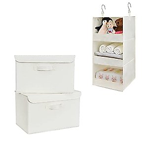 GRANNY SAYS Bundle of 2-Pack Storage Baskets with Lids Large & 1-Pack Hanging Closet Organizer