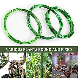 Bonsai Wire with Cutter Kit - 9 Roll Tree Training Wires 149.6 Feet Total .Anodized Aluminum Wire 1mm/1.5mm/2.0 mm Training Wire，for Bonzai Trees Indoor (149.6 Feet, Green, 9)