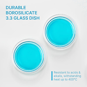 Microyn Borosilicate Glass Petri Dish with Lid, Tissue Culture Dish (90 mm, Pack of 10)