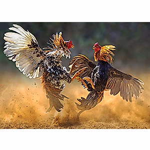 HULX POWER PLUS 100 TABLETS, Fast Increasing Energy Formula Rooster Booster Vitamins Health Chicken Supplement for Good Health, Build Muscle, Blood, Power Feed Poultry Bird Fighting Gamecocks Hen Food