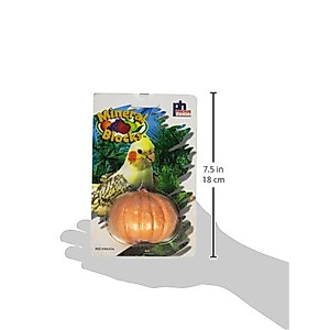 Prevue Pet Products Fruit Bird Mineral Blocks Assorted Styles and Colors Sold Individually