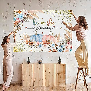 Mocsicka Pumpkin Gender Reveal Backdrop Autumn Fall Pumpkin Baby Shower Party Decorations Boy or Girl Thanksgiving Pumpkin Gender Reveal Party Cake Table Banner (Blue/Pink, 7x5ft(82''x60''))
