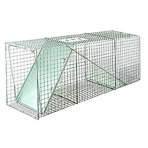 Little Giant® Single Door Live Trap | Racoon Trap | Live Animal Trap | Catches Without Injury | Galvanized Steel Mesh | 42.25 x 16.75 x 16.75 in