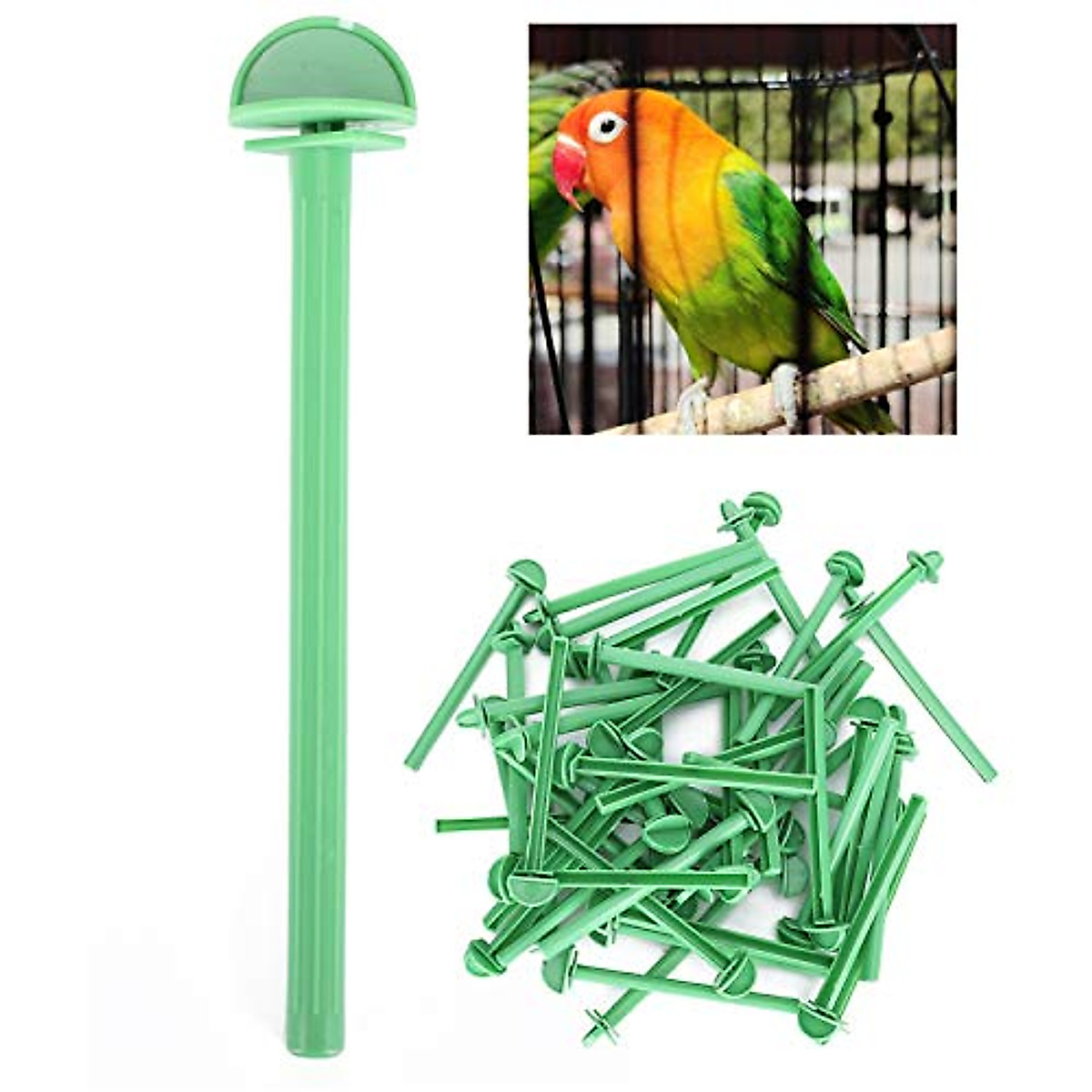 50Pcs Plastic Stand Perches Holders, 6.3in Bird Standing Stick Stand for Canary Finch Budgie Bird Cage