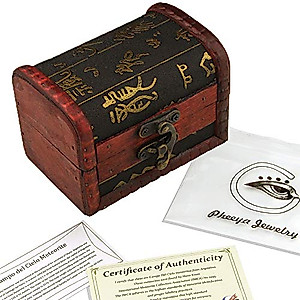 Large Massive 10-330 Grams Meteorite Specimen, Campo Del Cielo Meteorite with Gift Box, Moon Rock Sample, Astronomy Gifts for Space Fans, Great for Science Classrooms, Rocks Collection