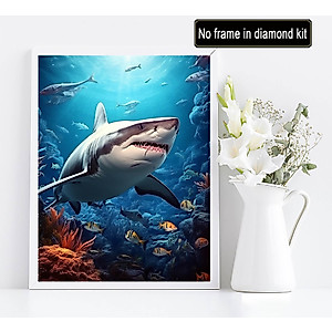 Diymood Paint by Numbers for Adults Shark, DIY Oil Painting Marine Life Acrylic Paint by Number Kits for Adults Beginner for Home Wall Decor 16x20 inch