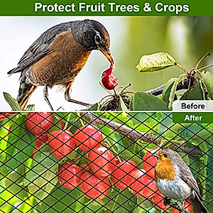 WOSCMI Bird Netting - 25 X 50 feet Garden Netting for Birds Tree Nets for Fruit Trees 3/4 inch Mesh Size Bird Netting for Garden