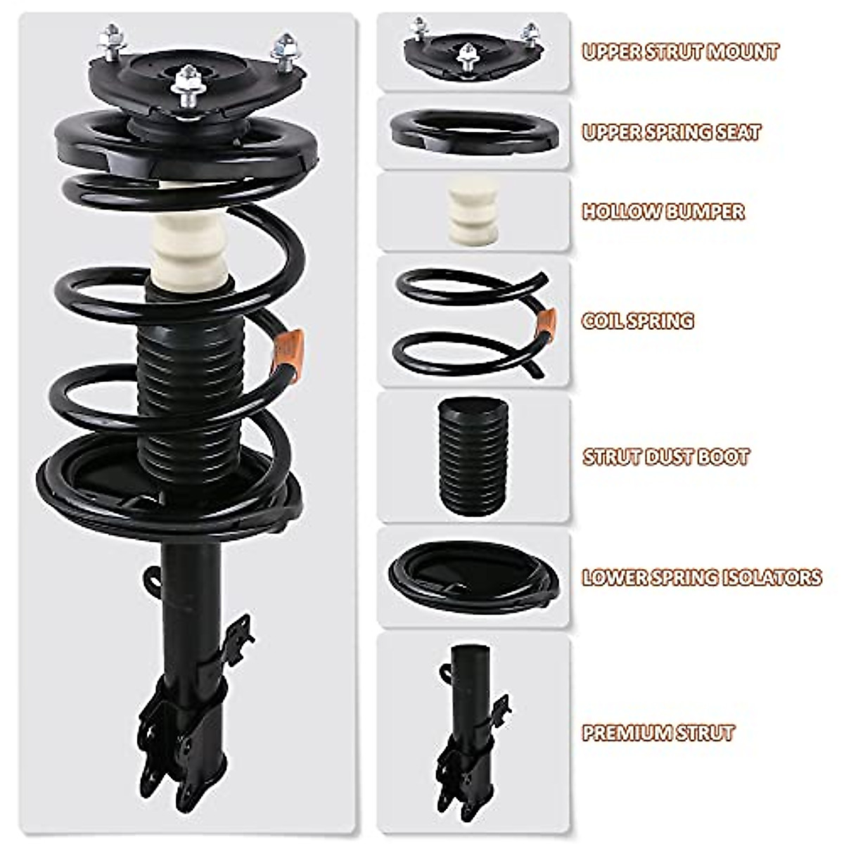 MOSTPLUS Rear Complete Strut Spring Shock Absorber 172309 172310 Compatible with 2008-2011 Toyota Camry Avalon