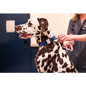 Fi Nano Microchip for Dogs - 1-Pack - Free Lifetime Registration - Universally Scannable - Small Size…