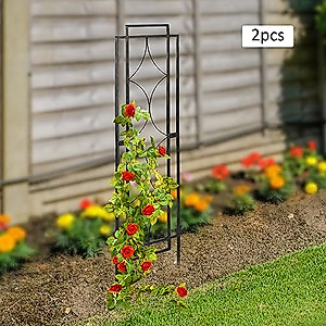2 Pack Garden Trellis, for Climbing Plants Black Steel Potted Support Vines Metal Wire Plant Trellis for Climbing Vegetables Flower Patio Roses Cucumbers