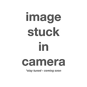 Baby Buddy Up and Away Kids Stuffed Animal Hammock Storage Organizer, Organizers and Storage for Baby Items, Display and Organize Children's Stuffed Animals, Stretches Up to 5 Feet, Blue, Pack of 1