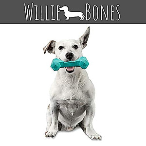 Willie Bones | Modern Dog Chew Toy | Almost Indestructible Dog Toys for Aggressive Chewers | Tough + Durable + Strong Natural Rubber Bone Toy for Small + Large Dogs + Puppy Teething | Boredom Chews