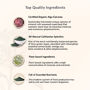 DR. DOBIAS GreenMin for Dogs - All Natural Mineral and Amino-Acid Rich superfood, up to 5 Months Supply