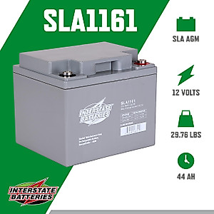 Interstate Batteries 12V 44Ah Battery (Insert Terminal) SLA AGM VRLA Rechargeable Replacement for UPS Backup Power, Fire & Security, Emergency Lighting (SLA1161)