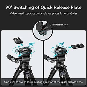 SmallRig Video Head for Vertical/Horizontal Shooting, Tripod Pan Tilt Fluid Head with Telescopic Handle and Switchable QR Plate for Arca, Max Load 5kg / 11Ibs for Camcorder, Mirrorless, DSLR - 4104