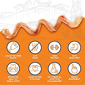 K9warehouse® - Curly Bully Sticks for Dogs - 5 to 8 inch, 6 Pack - High Protein, Odor Free Springs, Natural Pizzle Spiral Dog Chews - Perfect Treats for Small, Medium, Large Dogs - Rawhide Alternative