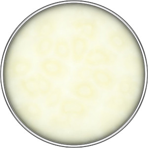 The Gentlemen's Beard Premium Beard Balm - Gentlemen’s Scent - Leave-in Conditioner & Softener - All Natural - Styles, Strengthens, Thickens & Softens Promoting Healthier Beard & Mustache Growth