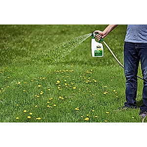 Roundup For Lawns3 Ready-To-Spray (Northern), 32 oz. - Lawn Safe Weed Killer for Northern Lawns, Kills Crabgrass, Dandelion, Clover and Yellow Nutsedge - Kills Weeds, Not the Lawn