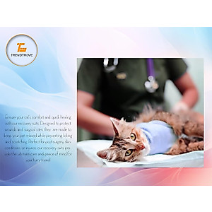 2PCS Cat Cone Collar and Cat Recovery Suit, Anti-Bite, Stop Licking Wounds, Adjustable Soft Elizabethan Cone, Cat Onesie for Female Cat After Surgery