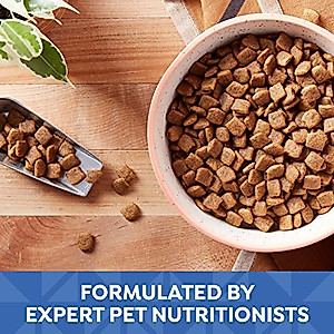 Nature’s Recipe Small Bites Dry Dog Food, Chicken & Rice Recipe, 12 Pound Bag (Package May Vary)