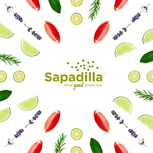 Sapadilla Liquid Dish Soap - Sweet Lavender + Lime - Made with 100% Pure Essential Oil Blends, Tough on Grease, Aromatic & Fragrant Dishwashing Liquid, Plant Based, Biodegradable, 12 Ounce (Pack of 1)