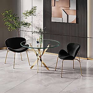 Yoluckea Velvet Dining Chairs Set of 2, Modern Upholstered Dining Side Chair Vanity Chair Living Room Chairs Accent Chair with Gold Metal Legs for Kitchen Dining Room Bedroom (Black)