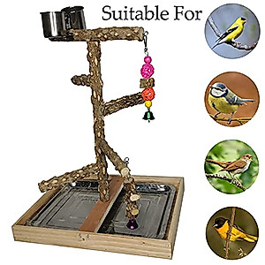 Tfwadmx Bird Perch Natural Wood Stand Toy Parrot Play Stand Platform Bird Cage Branch Perch Accessories for Parakeets Canaries Cockatiels Conure Lovebirds