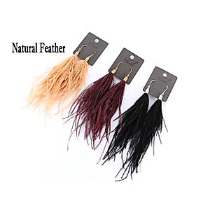 Black Feather Women Earrings Bohemian Long Drop Black Light Wedding Accessories (Black, silver-plated-base)