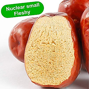 16 Oz Organic Dates Dried, Medjool in resealable bags, Red Dates/Sweet Jujube/Sugar Hong Zao, Vegan Grocery & Gourmet Food Snack Foods Dried Fruit (1 Lbs)