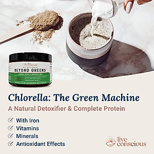 Beyond Greens Super Greens Powder Superfood - Delicious Debloating Green Powder - Matcha Greens Blend Superfood Powder w/ Chlorella, Echinacea, Probiotics for Immune Support & Energy by Live Conscious
