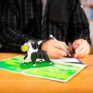 GREETING ART Dog Pop Up Card,3D Pop Up Card,Pop Up Birthday Card,Boston Terrier Pop Up Card, Dog Lover Card,Thank You Card for Mothers Day, Fathers Day,Valentines Day, Birthday, All Occasion