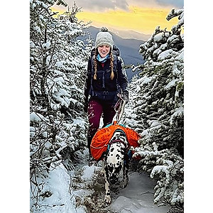 BALEAF Women's Fleece Lined Leggings Water Resistant High Waisted Winter Cold Weather Running Gear Zip Pockets Wine Red M