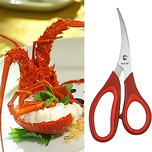 1Pc Seafood Scissors, Multifunctional Lobster Scissors Tool,Shrimp Pliers, Shrimp Cracker Crab Leg Shears Shell Cracker Crayfish Scissors Fish Scissors