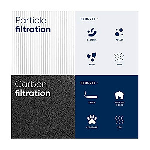BLUEAIR Blue Pure 121 Genuine Replacement Filter, Particle and Activated Carbon, Fits Blue Pure 121 Air Purifier