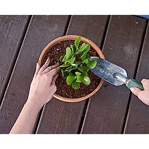 Planting Mix for Plant Propagation, Hand Blended Soilless Mix for Propagating Plants, House Plants, and More-4qt