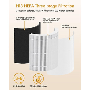 Air Purifier B-D02U Replacement Filter, VEWIOR H13 True HEPA Air Cleaner Filter (Special for B-D02U Air Purifier)