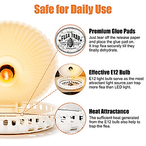 Flea Trap, 2 Pack Sticky Flea Traps for Inside Your Home with 4 Sticky Discs & 6 Bulbs, Shell Shape Electric Flea Light Killer Bed Bug Trap, Natural Indoor Pest Control for Home, Safe to Pet & Child