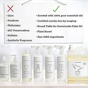 Common Good, Plant-Based with Pure Essential Oil Scents, Biodegradable Formula, No Parabens or Sulfates hand soap, 12 FZ, White, Fl Oz (Model: ED01HAND12B)