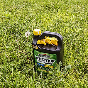 Spectracide Weed Stop For Lawns, Ready-to-Use, 1-Gallon