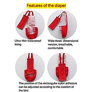 HEZHUO Parrot Diaper Bird Flight Suit, Bird Clothes, Waterproof Lining Pet Bird Supplies (L, Red)