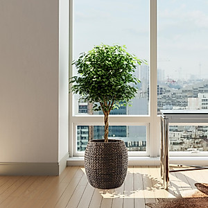 Casafield Round Storage Basket with Lid - Espresso, Handwoven Water Hyacinth Organizer for Laundry, Blankets, Plants, Bedroom, Living Room, Home Office