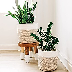 OrganiHaus 2-Pack Woven Plant Basket | Basket for Plants Indoor | Cachepot Rope Plant Baskets | Floor Planter Basket | Indoor Jute Basket for Plant Pots | Boho Plant Pot Covers - Brown (10 & 12 inch)