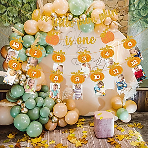 Fall Pumpkin 1st Birthday Photo Banner Autumn Pumpkin Birthday Photo Banner for Newborn to 12 Months Milestone Photograph Bunting Garland for Baby Boy Girl 1st Birthday Party Supplies