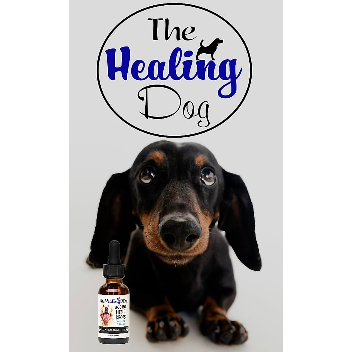 The Healing Dog: Hemp Oil for Cats & Dogs - 300mg